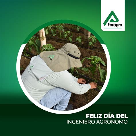 Foragro 🌱detrás De Cada Alimento Está El Campo Y El