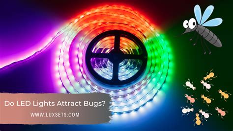 Do LED Lights Attract Bugs Luxsets