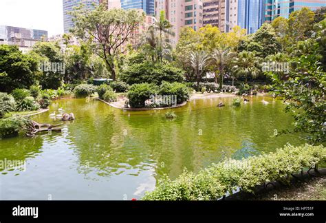Kowloon Park In The Centre Of Hong Kong Is Surrounded By Many High Rise