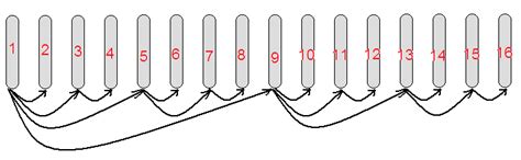 The Hierarchical Structure Of A Gop Frames Download Scientific Diagram