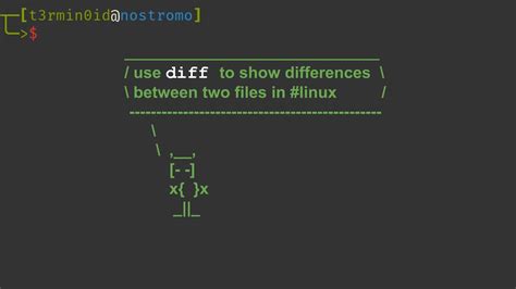 Use Diff To Show The Differences Between Two Files In Linux Youtube