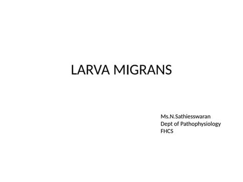 6 Larva Migranspptx It Can Be Used To Medical Issues Ppt