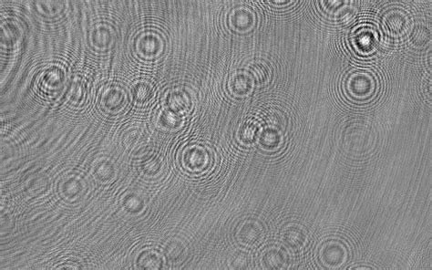 Ecoli 40x Allplane Object Detection Dataset By Lei Feng