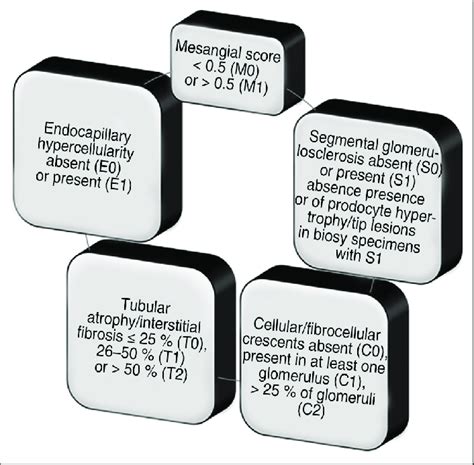 Pathologic Classification Of Fibrillary Glomerulonephritis With Mimicry