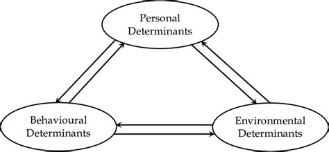 Triadic Reciprocal Causal Structure In The Social Cognitive Theory Download Scientific Diagram