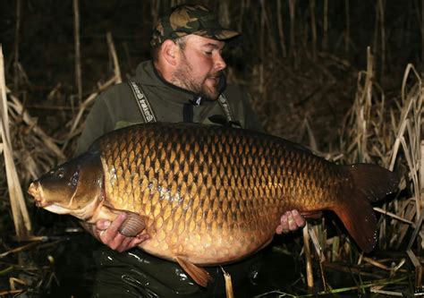 Sensational Carp Session Topped By Two Uk 60lb Fish Angling Times