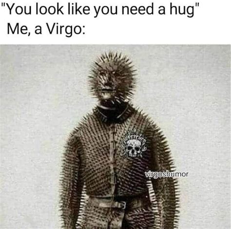 27 Funny And Relatable Virgo Memes That Are Basically Facts Zodiac Memes