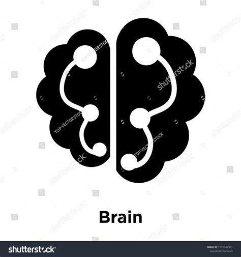 Brain Logo Png