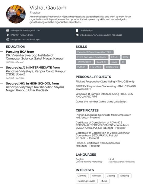 vishal s resume pdf java script information technology management