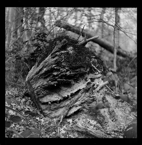 View On Black Henry Huxtable Flickr