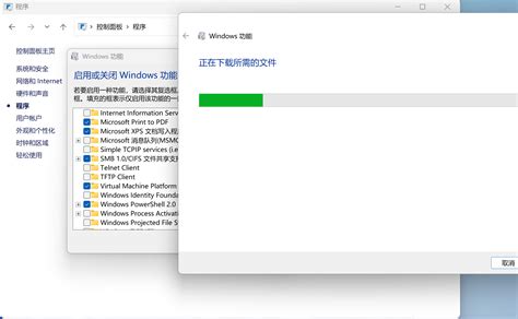 请问docker一直显示未开启虚拟机平台怎么办 开发工具 csdn问答