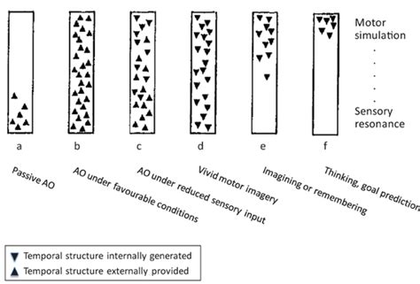 The Continuum Between Action Observation And Motor Imagery Modified