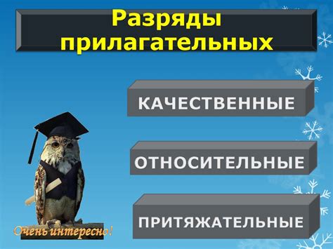 Разряды имен прилагательных 6 класс презентация онлайн
