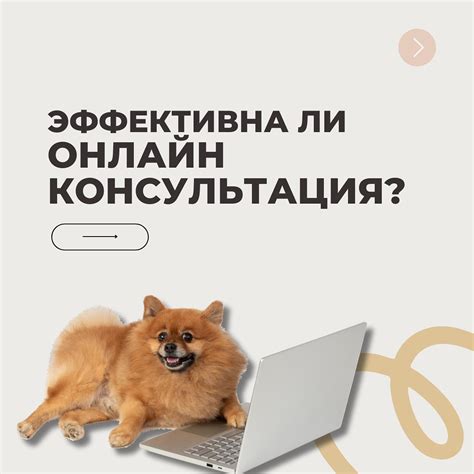 ЗООПСИХОЛОГ ОНЛАЙН ЕКАТЕРИНА про воспитание собак зоопсихолог Instagram