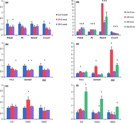 Calculate Expression Of Gene At Cooper Betts Blog