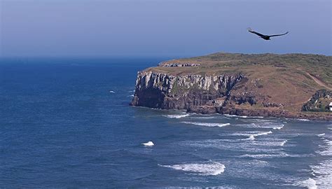 IPFIX Use Cases In Network Monitoring And Analysis Niagara Networks