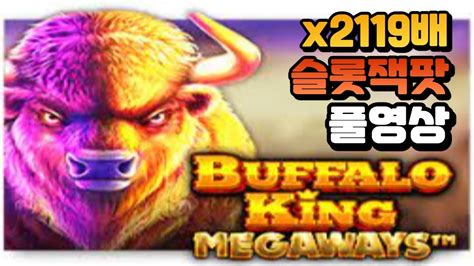 슬롯 프라그마틱 슬롯게임 버팔로킹 잭팟 풀영상 Youtube