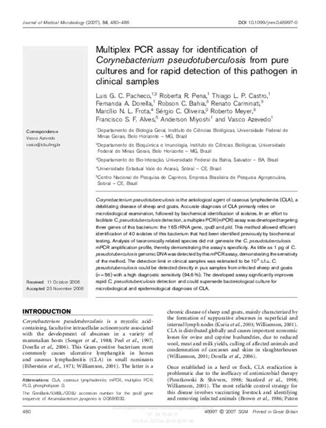 Pdf Multiplex Pcr Assay For Identification Of Corynebacterium Pseudotuberculosis From Pure