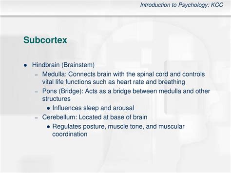 Brain And Behavior Ppt Download