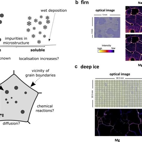 localisation of impurities in the microstructure of firn and ice a