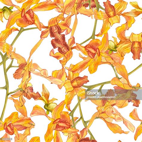 수채화 난초 분기 손으로 그린 꽃 원활한 패턴 배경 식물 수채화 그림 식물 그림 손으로 그리는 0명에 대한 스톡 벡터 아트 및