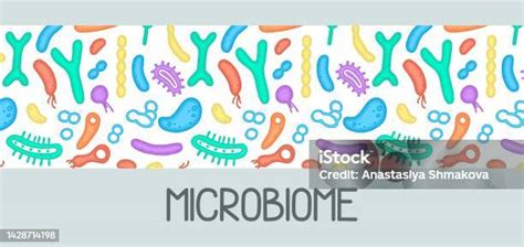 박테리아의 마이크로바이옴 그림 벡터 이미지 위장 비피도박테리아 락토바실리 유산균 플랫 스타일의 일러스트레이션 마이크로바이옴에 대한 스톡 벡터 아트 및 기타 이미지 Istock
