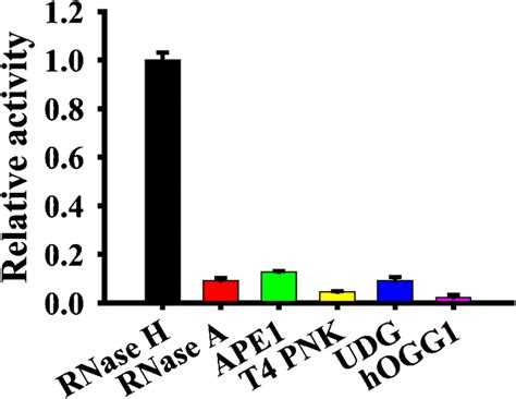 Influence Of Other Enzymes On The Specificity Of The Rnase H Assay