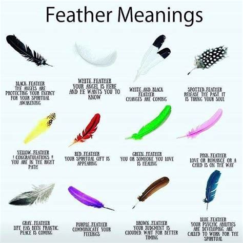 If You Come Across A Feather Feather Magic Purple Feather Feather Art Colorful Feathers
