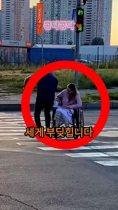 횡단보도를 건너지 못한 휠체어 여성에게 생긴 충격적인 일 Youtube