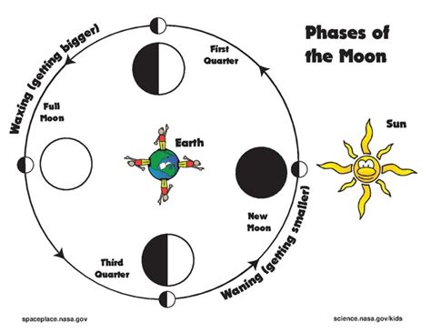 The Phases Of The Moon Hubpages