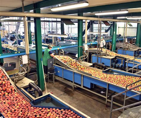 Sostenibilità Ambientale Nella Filiera Agroalimentare Sostenibileoggi