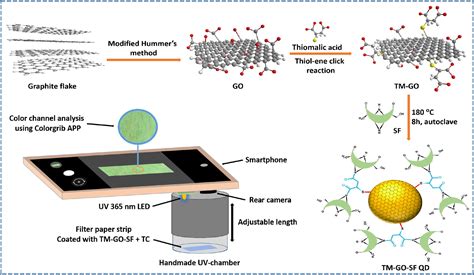 Click” Reaction Mediated Silk Fibroin Functionalized Thiol Branched Graphene Oxide Quantum Dots