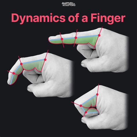 Finger Joints Bend Backwards At Ralph Halladay Blog