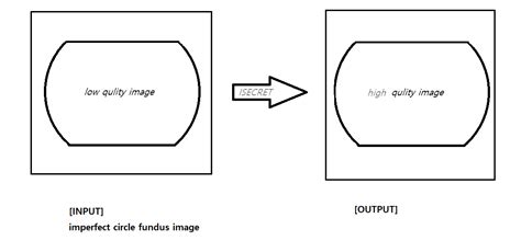 Dataset Did You Use All The Eyeq Data Issue Qtacierp Isecret Github