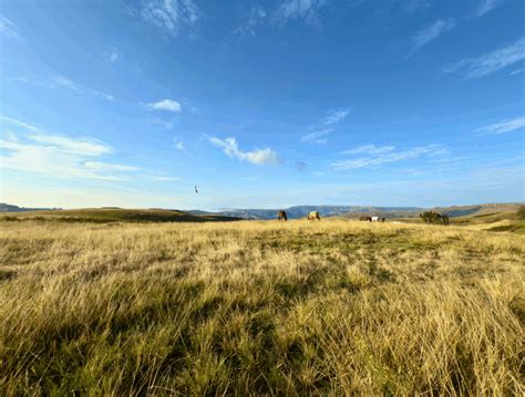 Van Reenen Where Time Slows Down And Cell Signal Dies In The Best Way Possible Wholesome Nomad