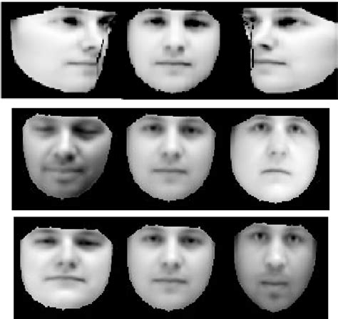 Figure 1 From A Comparison Of Face Verification Algorithms Using
