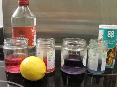 Red Cabbage Indicator Teaching Resources