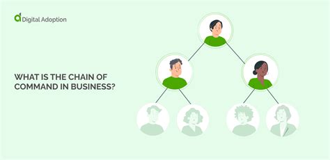 what is the chain of command in business