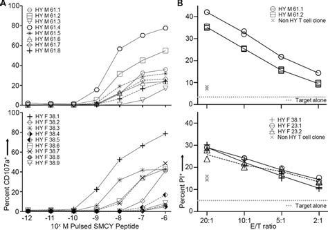 Broadly Overlapping Functional Avidity Of Smcyhla A0201 Specific Cd8 Download Scientific