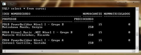 consulta oracle database 11g release 2 perú hardware