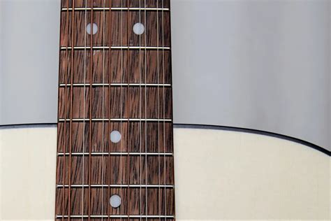 Riff 12 String Guitar Everything You Should Know About It [updated December 2023]
