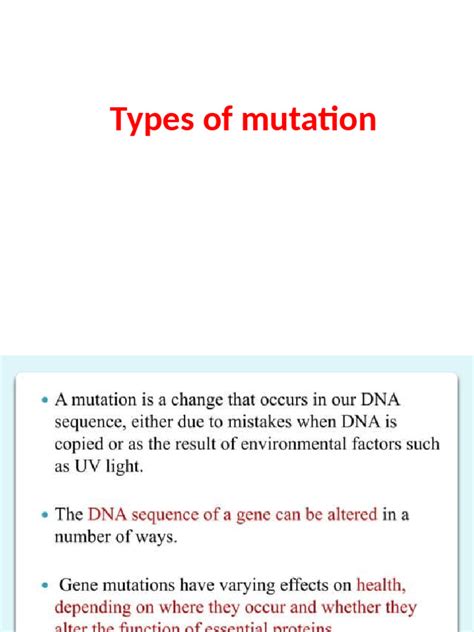 Types Of Mutation Pdf