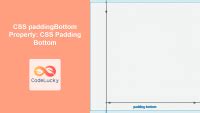 Css Style Paddingtop Property Css Padding Top Codelucky