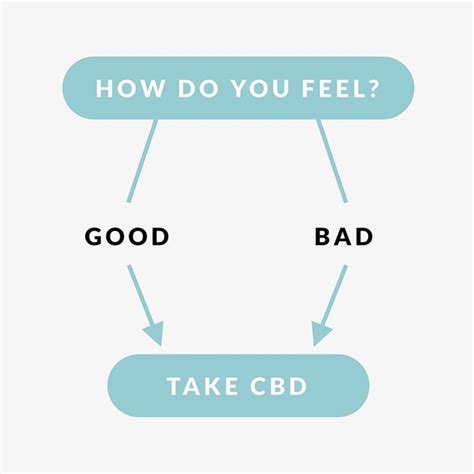 Navigate Cbd Safely Unveiling Interactions And Guidance With Bluegrass Hemp Oil