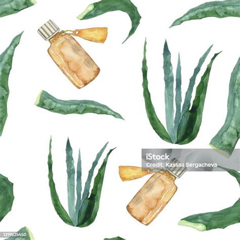 알로에 베라 는 흰색 배경에 병 원활한 패턴에서 추출 알로에 베라와 유리 항아리의 수채화 손 그리기 그림 그림 의료 디자인 포스터 인쇄 벽지 배너 디지털 종이에 적합합니다