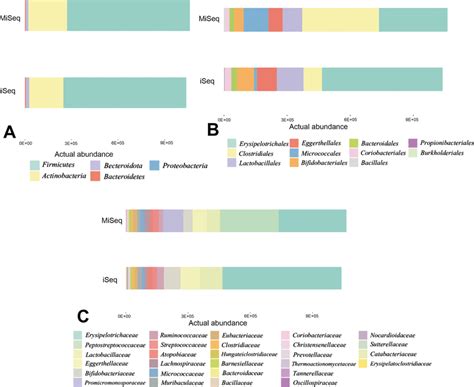 Different Taxonomic Levels Differences In The Actual Abundance The Download Scientific Diagram