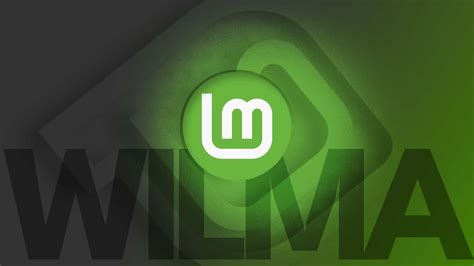 Linux Mint 22 Beta Phase Extended
