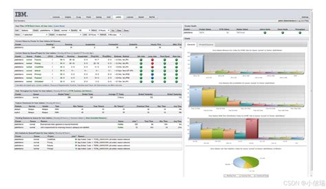 ibm spectrum lsf rtm，针对 ibm spectrum lsf 环境的高级报告、跟踪和监控工具 csdn博客