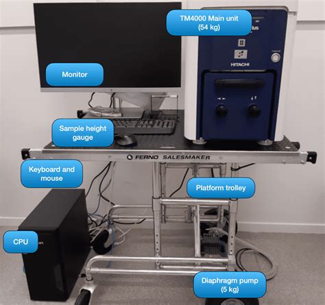 Magnification And Resolution — Science Learning Hub