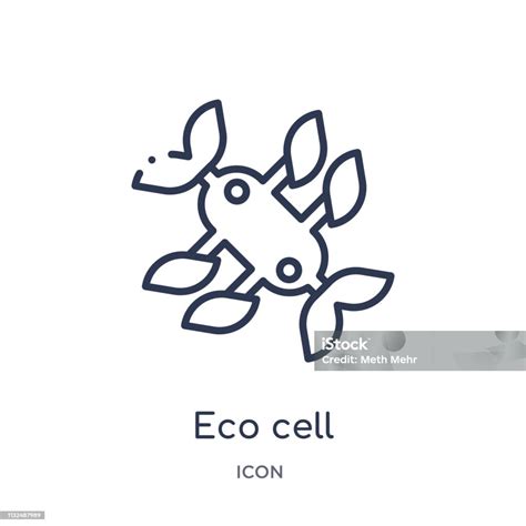 생태 개요 컬렉션에서 선형 에코 셀 아이콘입니다 얇은 라인 에코 셀 벡터 흰색 배경에 고립입니다 에코 셀 트 렌 디 일러스트레이션 0명에 대한 스톡 벡터 아트 및 기타